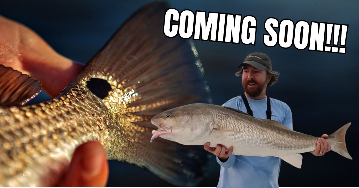 The Ultimate Redfish Course [COMING SOON!]