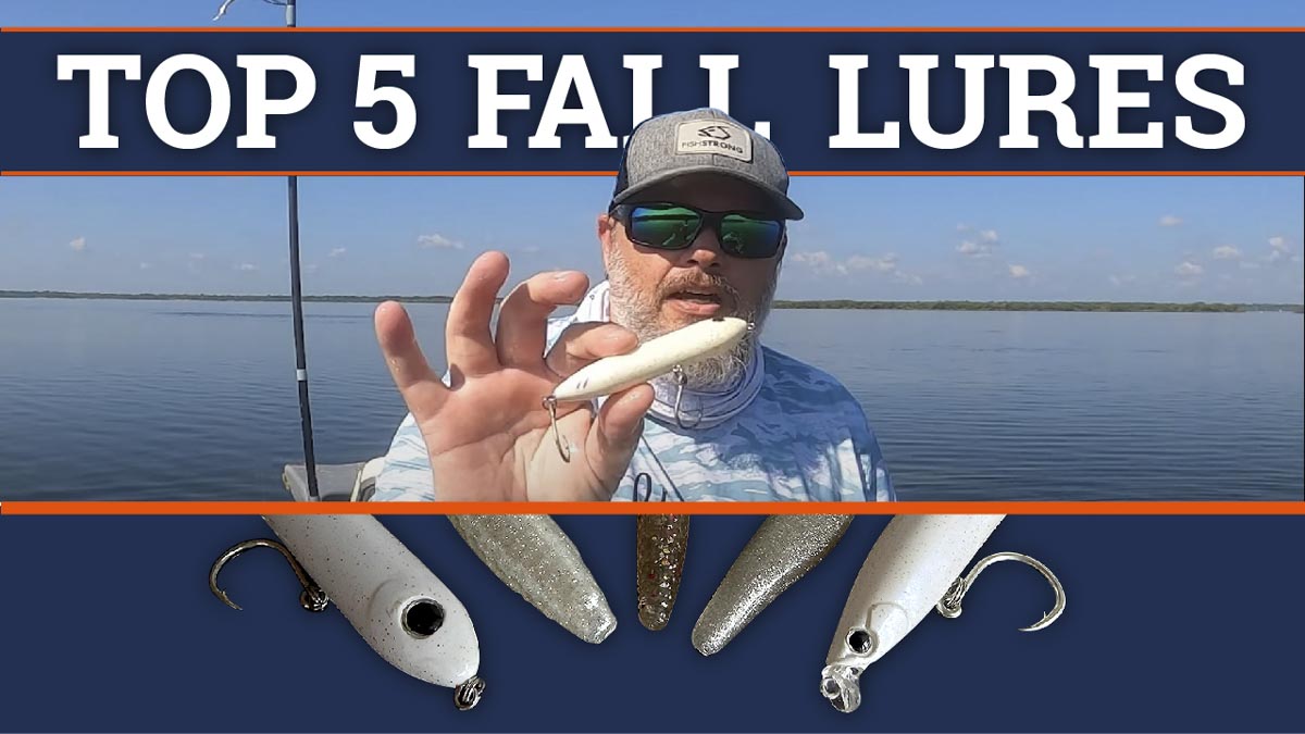 Top 5 Lures You Should Be Using This Fall