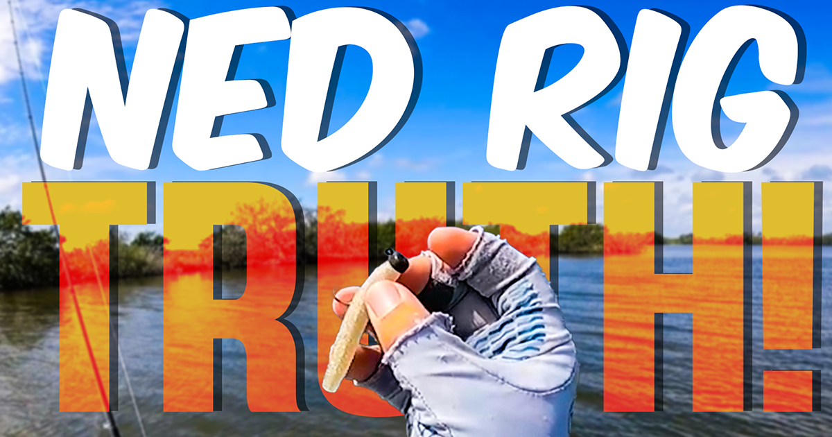 The Truth About Ned Rigs for Inshore Fishing