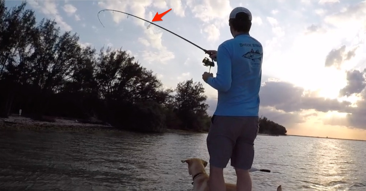 Edge Spinning Rod Review [Independent Review With Pros & Cons]