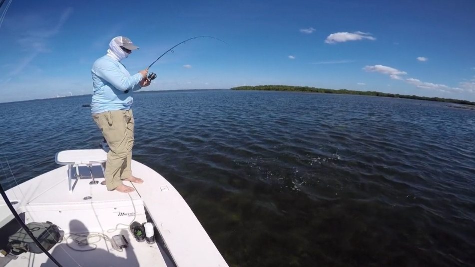 How To Find Redfish In A New Area (Crystal River Fishing Report)
