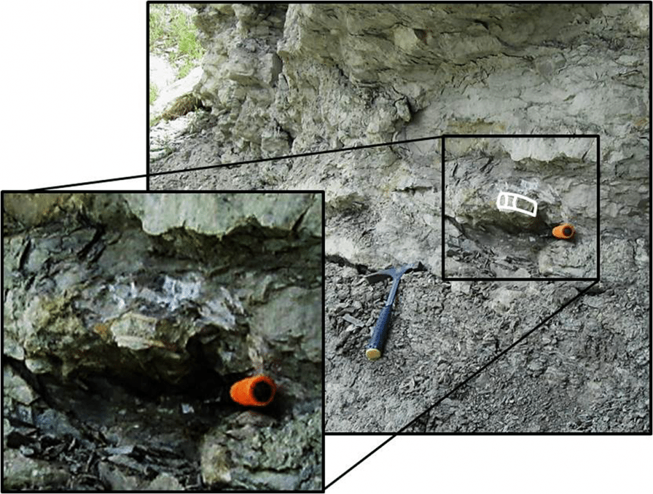 Ancient Remains of 20ft Mega Shark Found In Texas