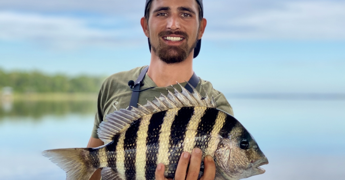 The Best Rig For Catching Sheepshead Around Heavy Structure